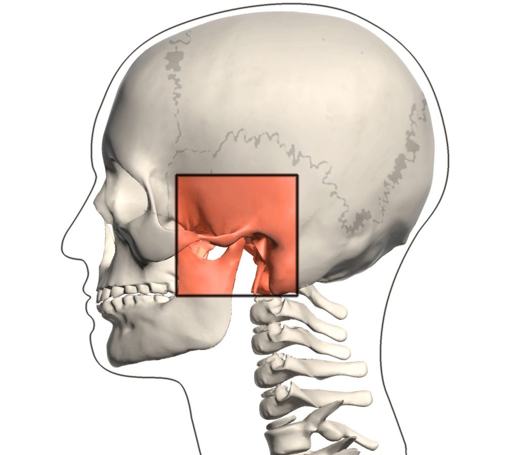 TMJ Rehabilitation – Ross Rehabilitation | A Division of Ross ...